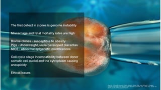 Somatic cell cloning | PDF