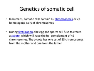 Somatic cell genetics | PPT