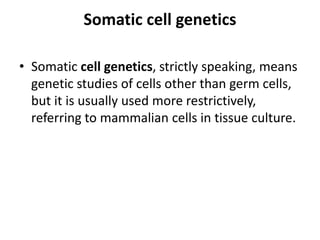 Somatic cell genetics | PPT