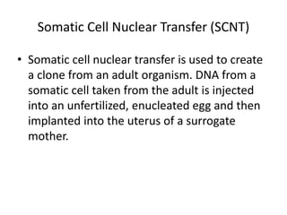 Somatic cell genetics | PPT