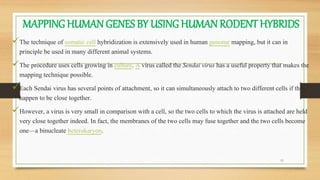 Somatic cell genetics by kk sahu | PPTX