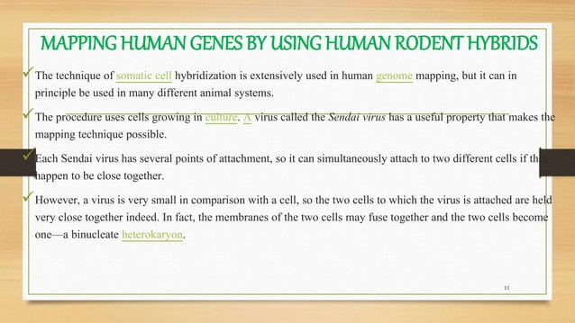 Somatic cell genetics by kk sahu | PPTX