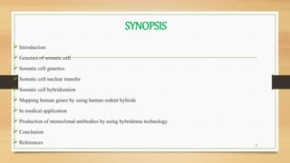 Somatic cell genetics by kk sahu | PPTX