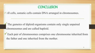 Somatic cell genetics by kk sahu | PPTX
