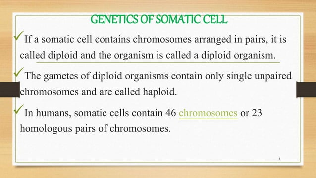 Somatic cell genetics by kk sahu | PPTX