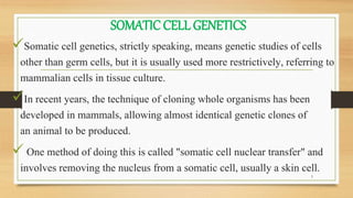 Somatic cell genetics by kk sahu | PPTX