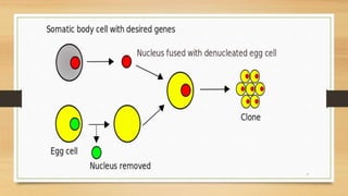 Somatic cell genetics by kk sahu | PPTX