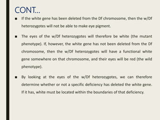 Somatic cell genetics | PPTX