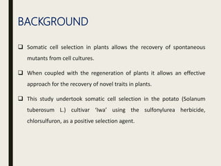 Somatic cell genetics | PPTX