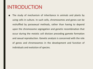 Somatic cell genetics | PPTX