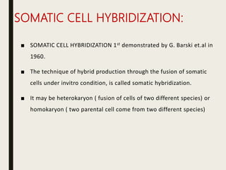 Somatic cell genetics | PPTX