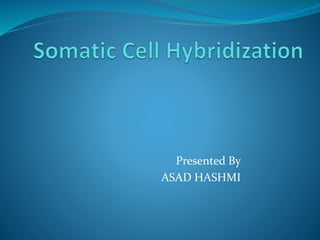 Somatic cell hybridization | PPTX