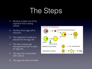 Somatic Cell Nuclear Transfer Diagram