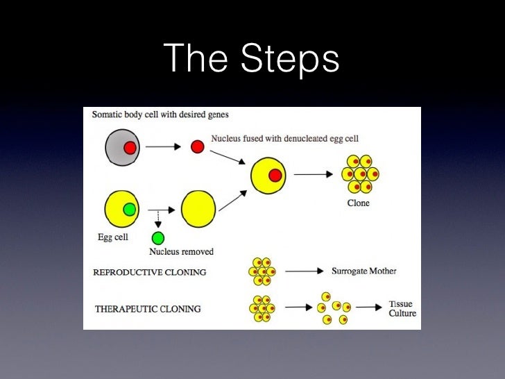 Somatic cell nuclear_transfer