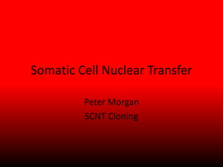 Somatic cell nuclear transfer ppt | PPTX