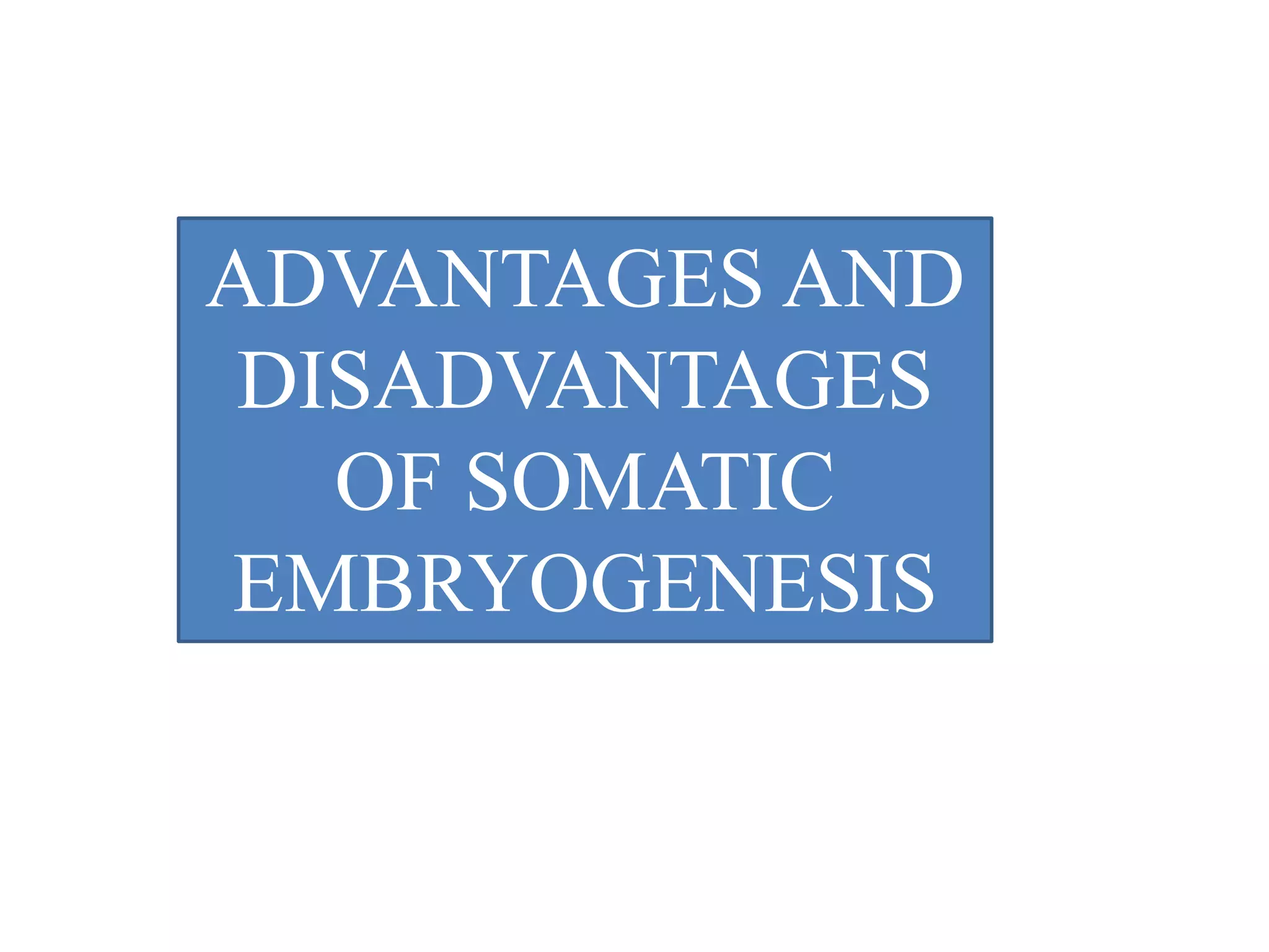 Somatic embryogenesis .pptx 1 | PPTX