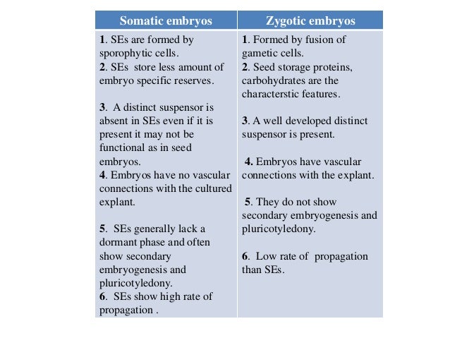 Somatic embryogenesis .pptx 1