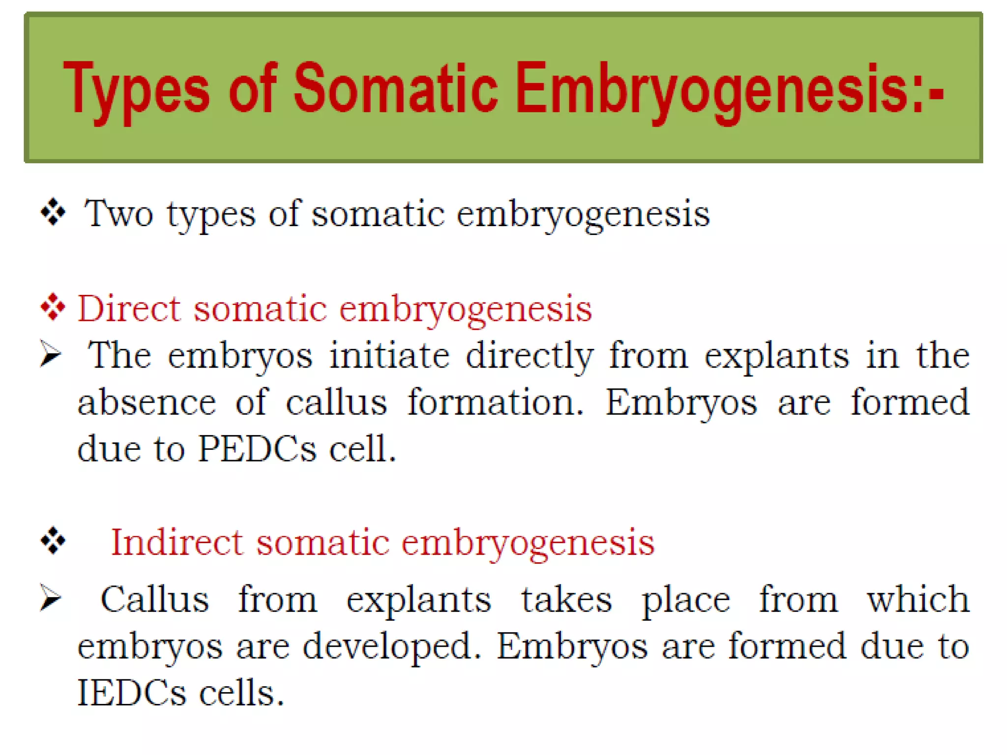 Somatic embryogenesis | PPTX