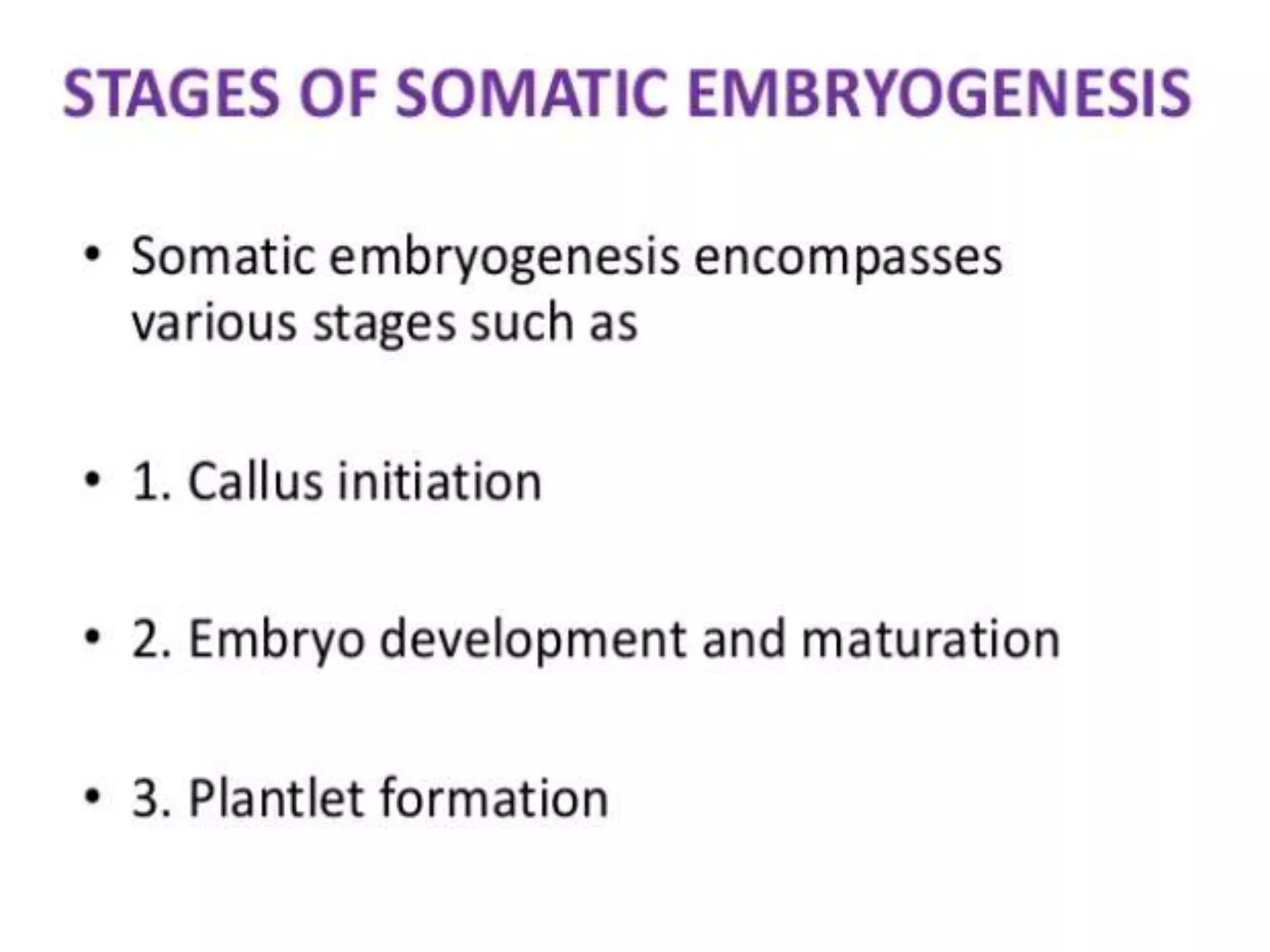 Somatic embryogenesis | PPTX