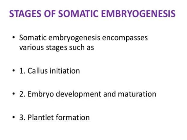 Somatic embryogenesis | PPT