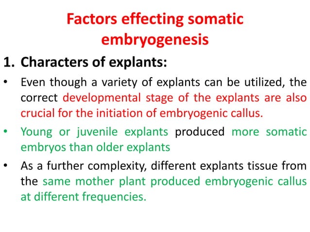Somatic embryogenesis | PPT