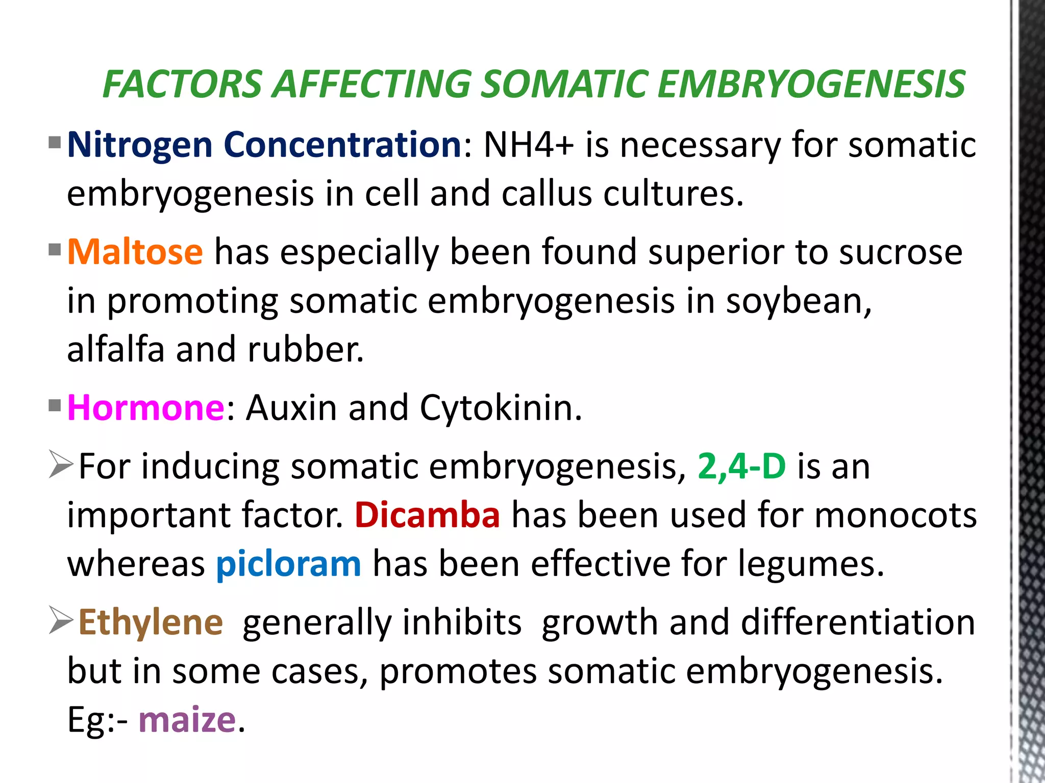Somatic embryogenesis | PPTX