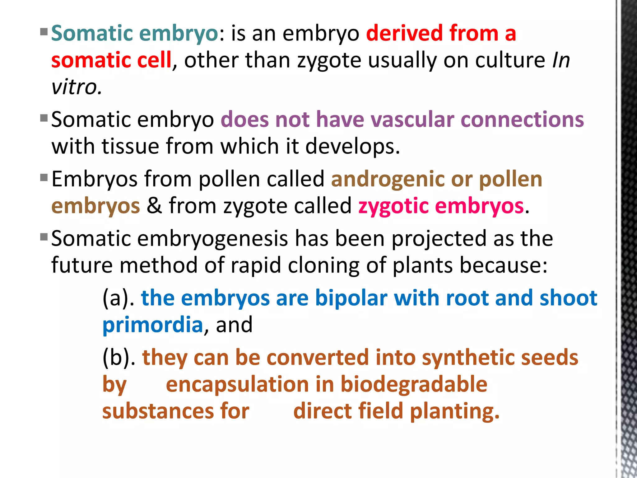 Somatic embryogenesis | PPTX