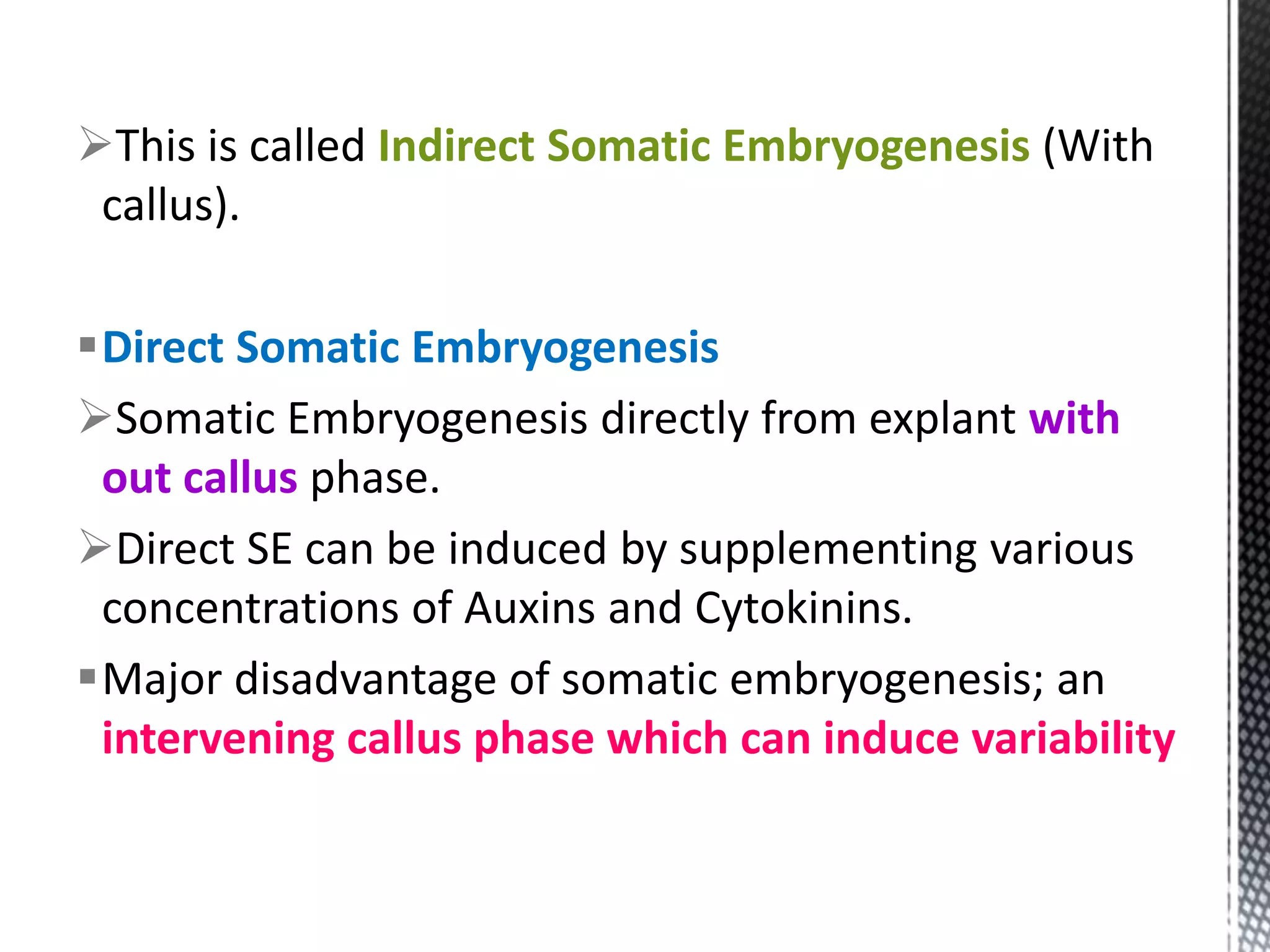 Somatic embryogenesis | PPTX