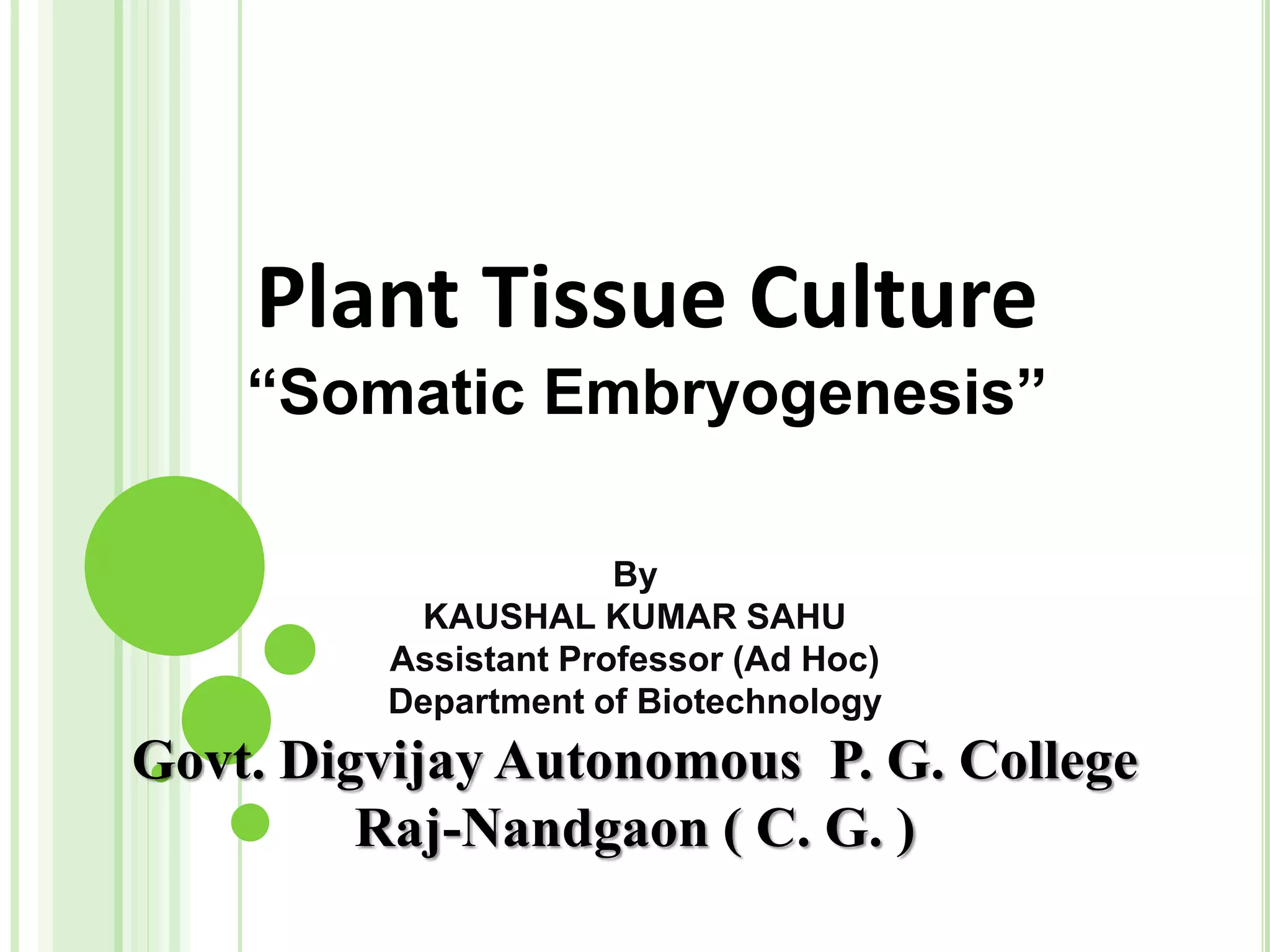Somatic embryogenesis, in plant tissue culture | PPTX