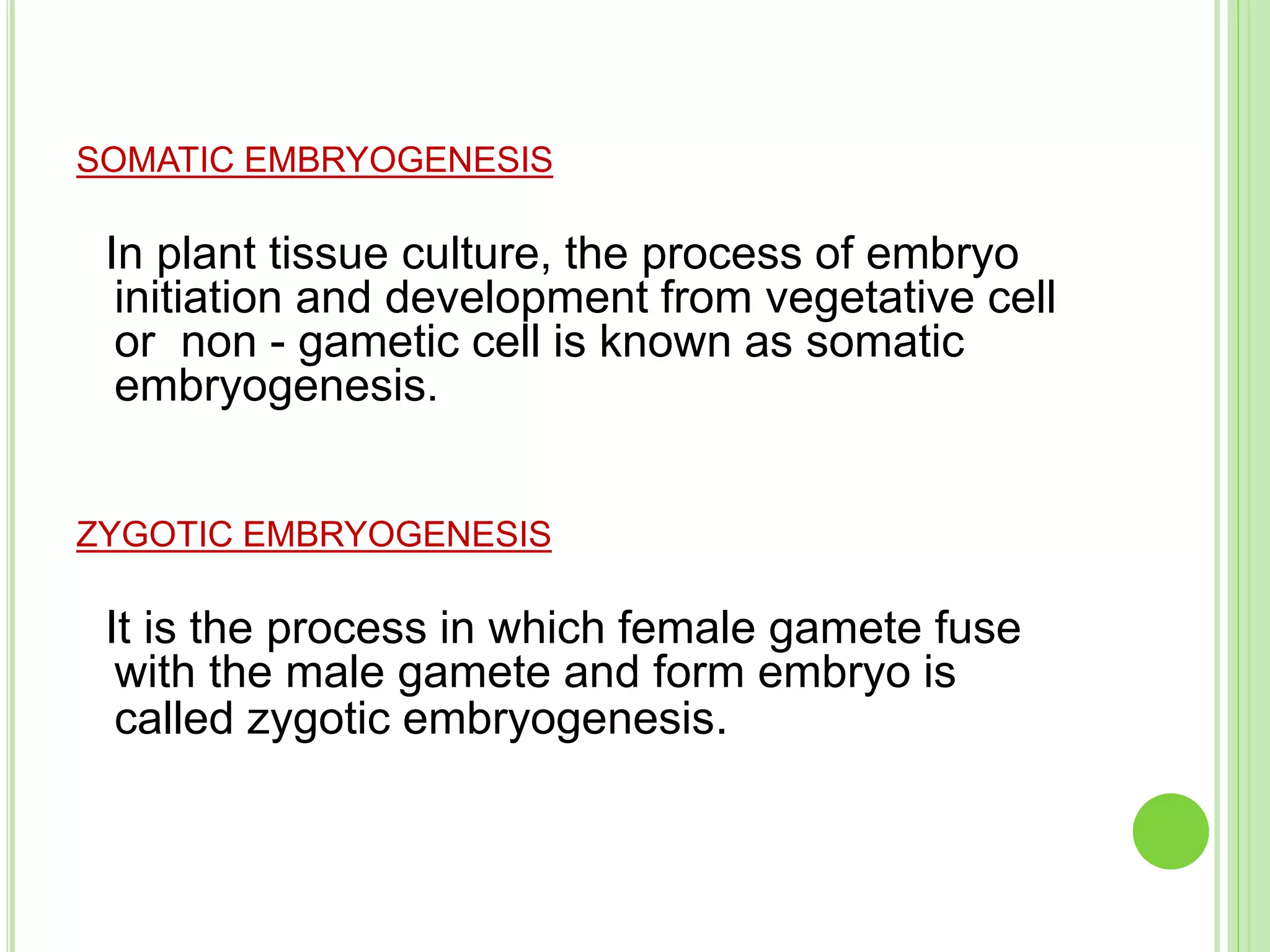 Somatic embryogenesis, in plant tissue culture | PPTX