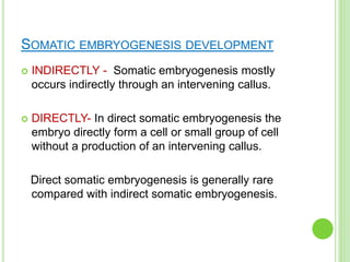 Somatic embryogenesis, in plant tissue culture | PPTX | Infertility ...