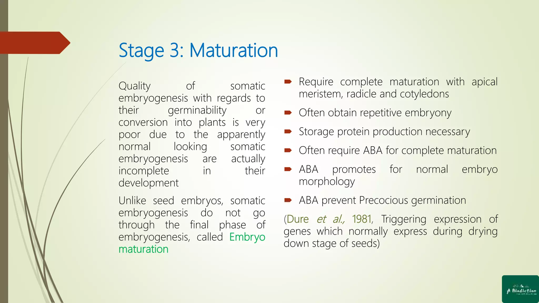 Plant Tissue Culture: Somatic Embryogenesis | PPTX