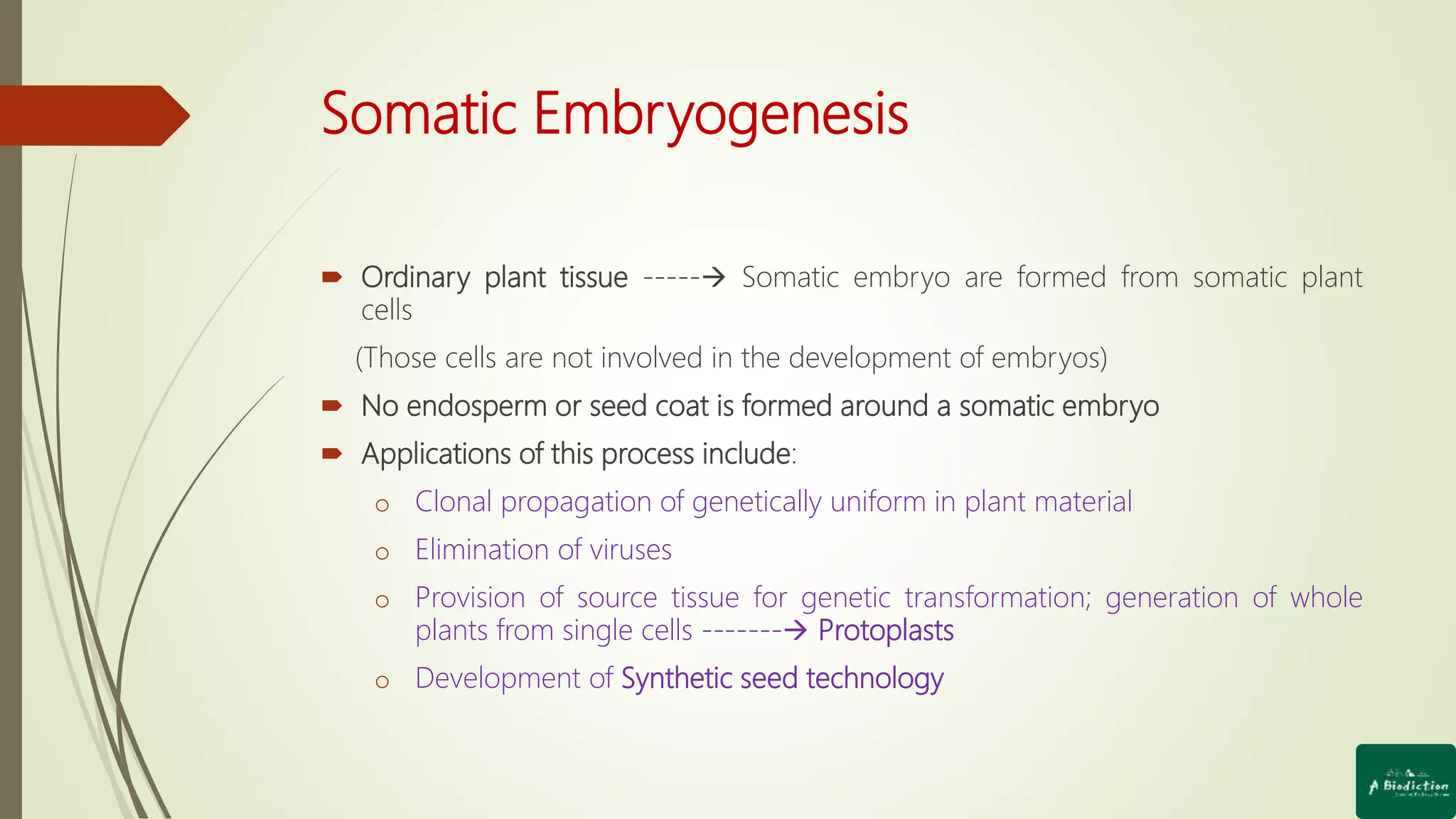 Plant Tissue Culture: Somatic Embryogenesis | PPTX