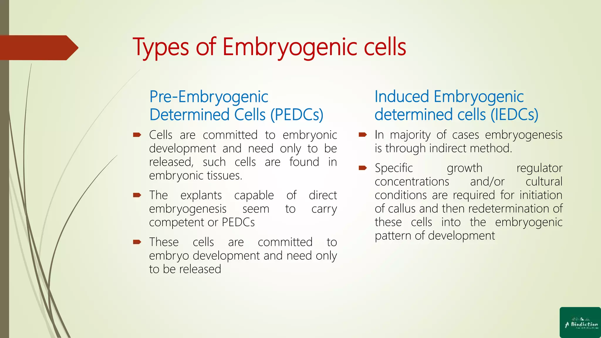 Plant Tissue Culture: Somatic Embryogenesis | PPTX