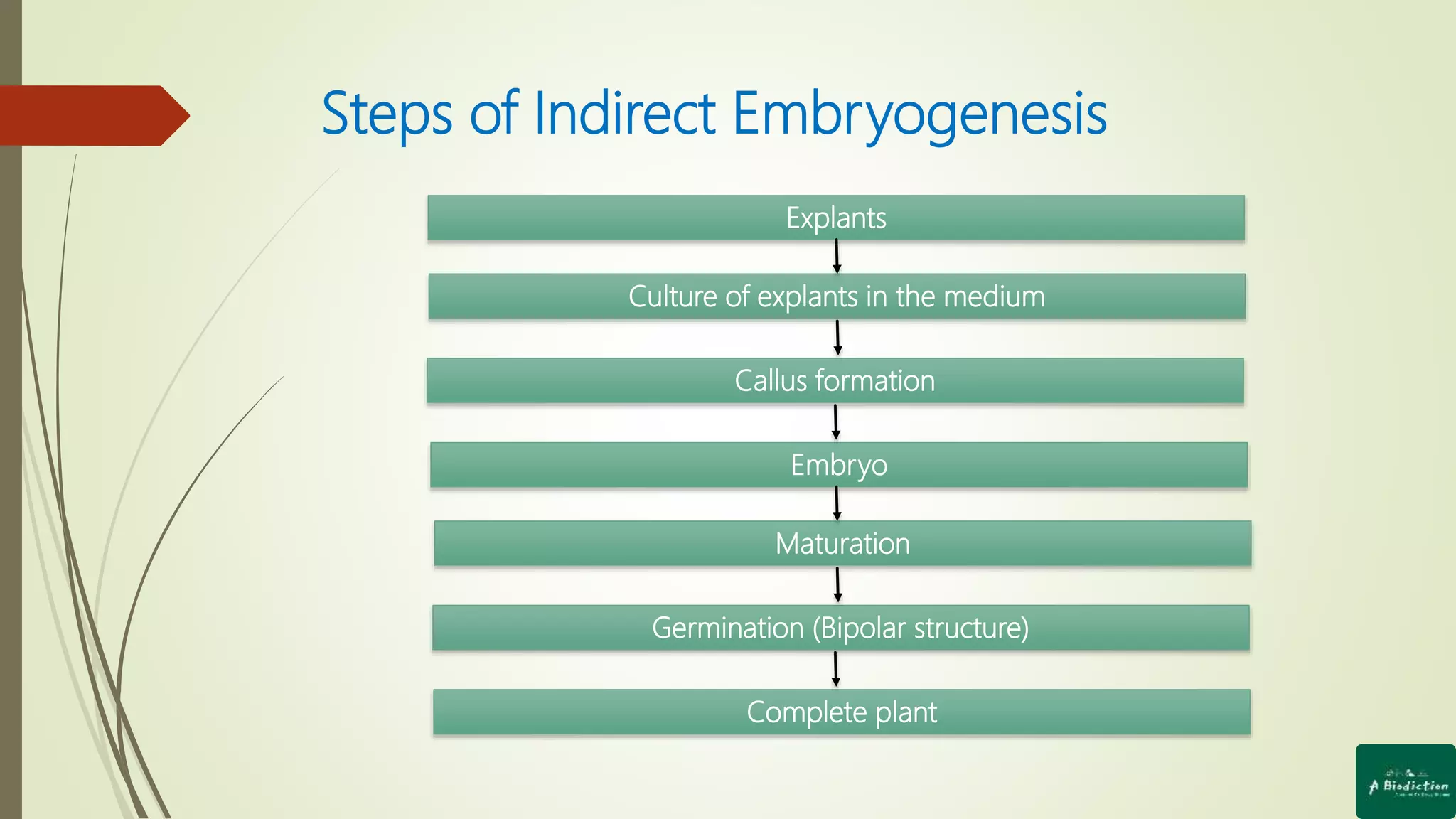 Plant Tissue Culture: Somatic Embryogenesis | PPTX