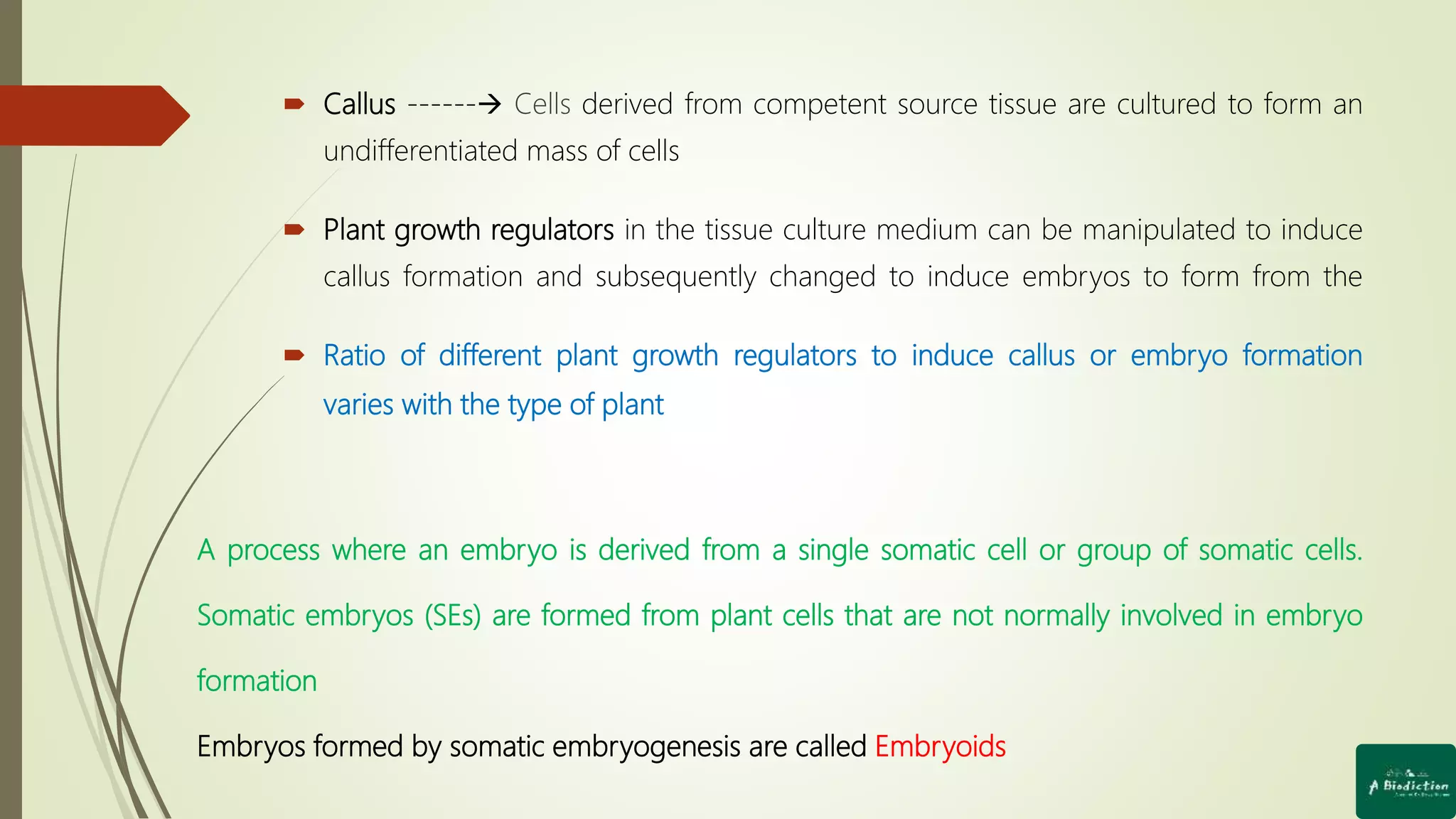 Plant Tissue Culture: Somatic Embryogenesis | PPTX