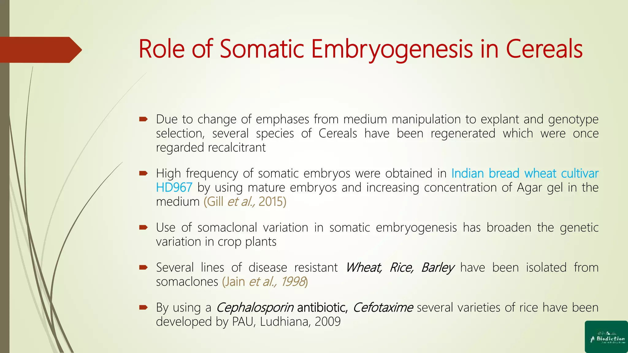 Plant Tissue Culture: Somatic Embryogenesis | PPTX