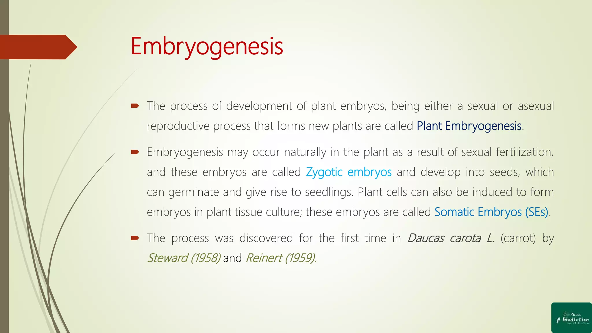 Plant Tissue Culture: Somatic Embryogenesis | PPTX
