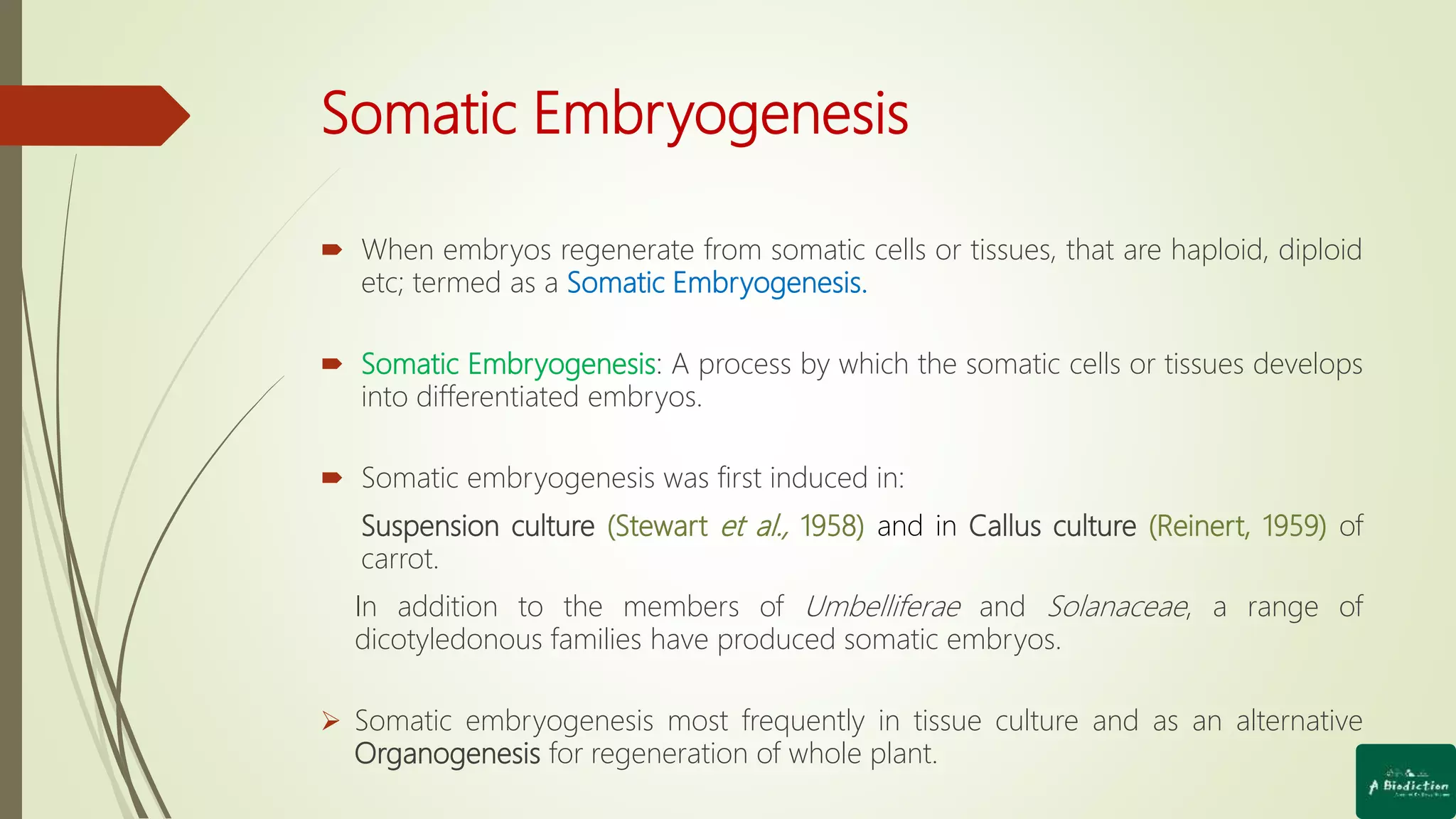 Plant Tissue Culture: Somatic Embryogenesis | PPT