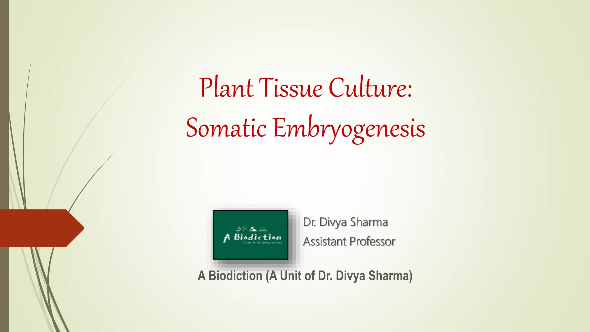 Plant Tissue Culture: Somatic Embryogenesis | PPT