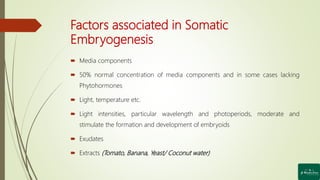 Plant Tissue Culture: Somatic Embryogenesis | PPTX