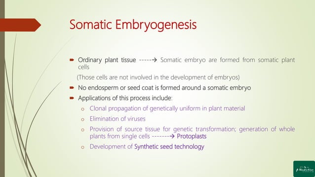 Plant Tissue Culture: Somatic Embryogenesis | PPTX