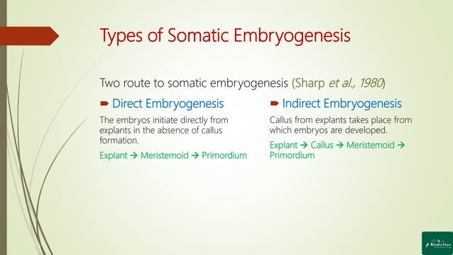 Plant Tissue Culture: Somatic Embryogenesis | PPTX