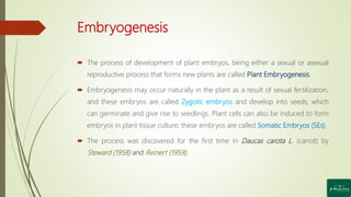 Plant Tissue Culture: Somatic Embryogenesis | PPTX