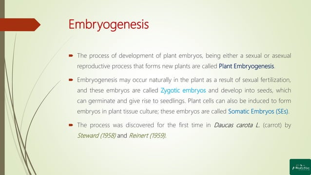 Plant Tissue Culture: Somatic Embryogenesis | PPTX