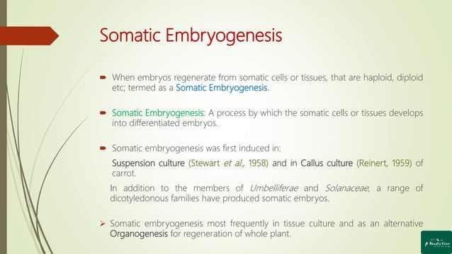 Plant Tissue Culture: Somatic Embryogenesis | PPTX