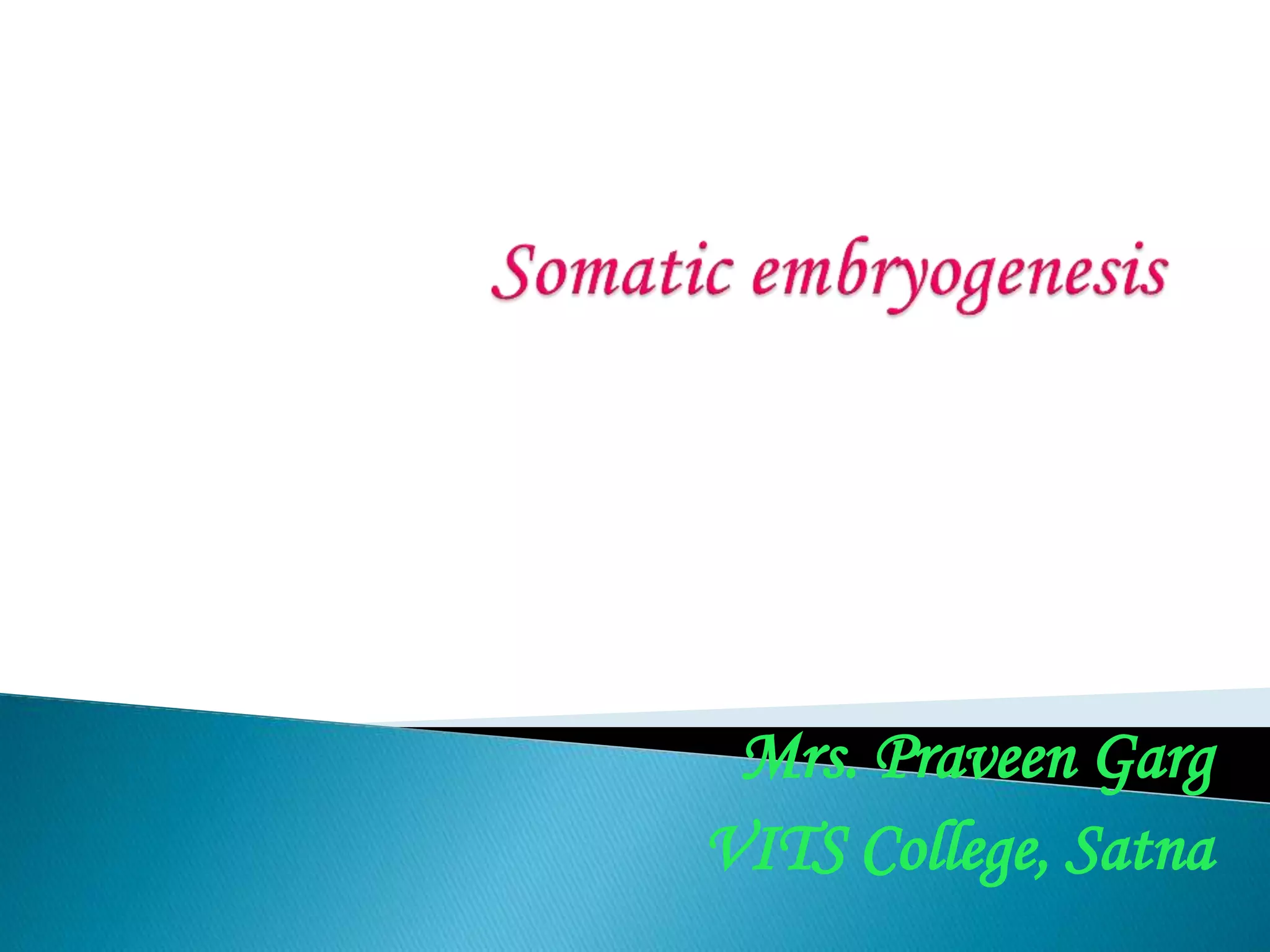 Somatic embryogenesis | PPTX