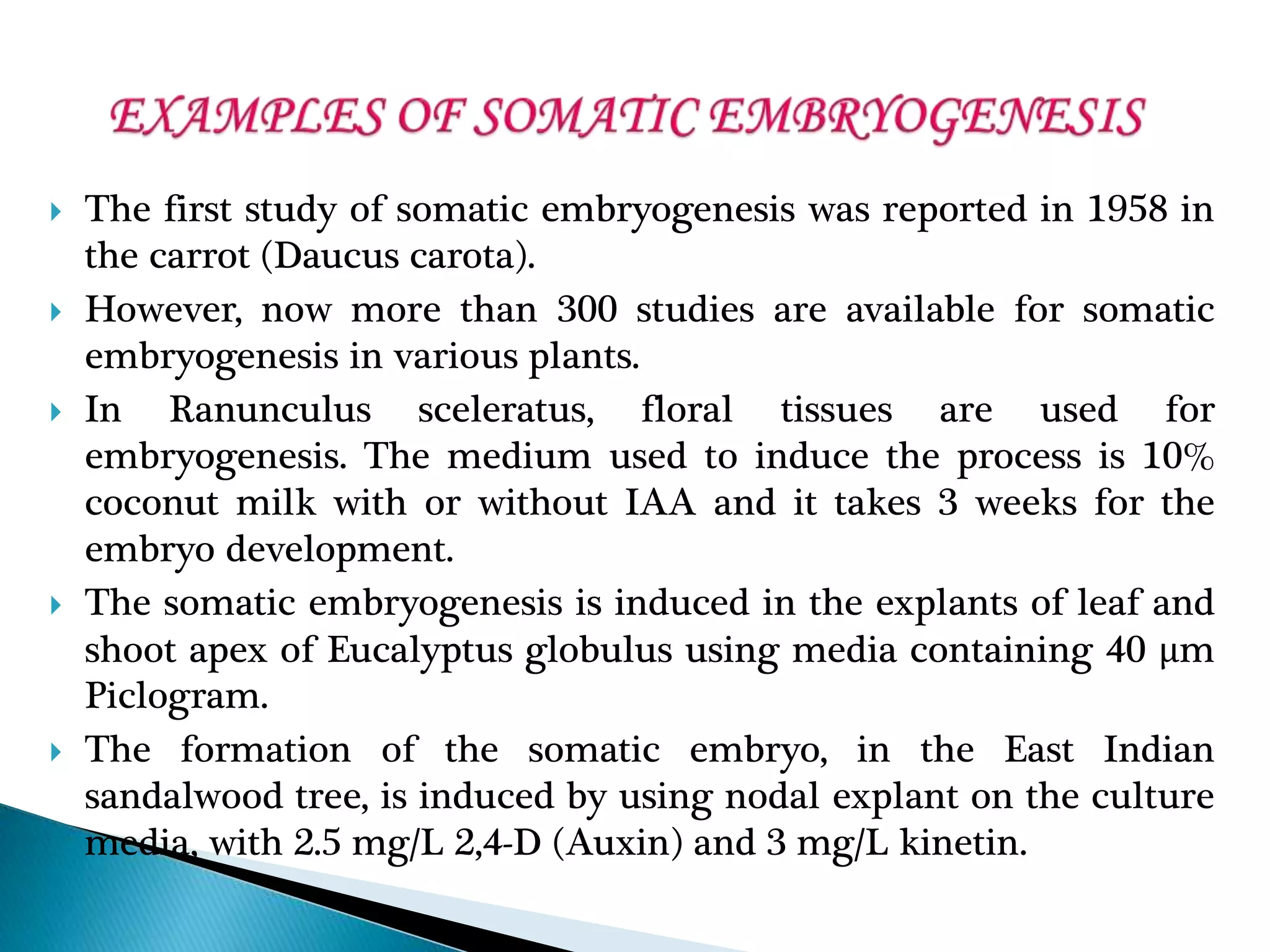 Somatic embryogenesis | PPTX