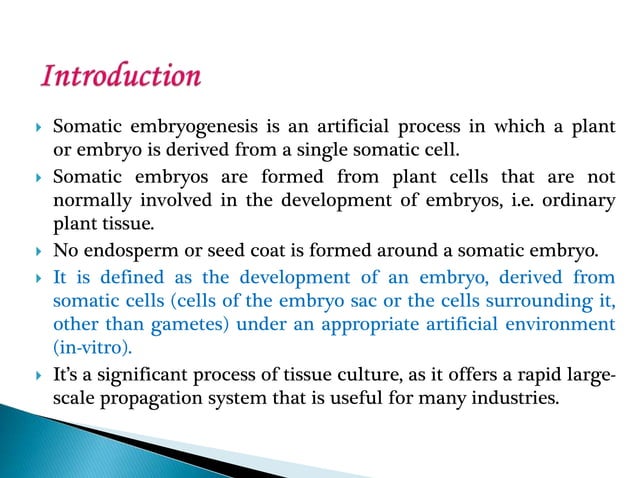 Somatic embryogenesis | PPTX
