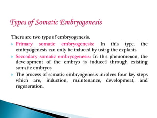 Somatic embryogenesis | PPTX